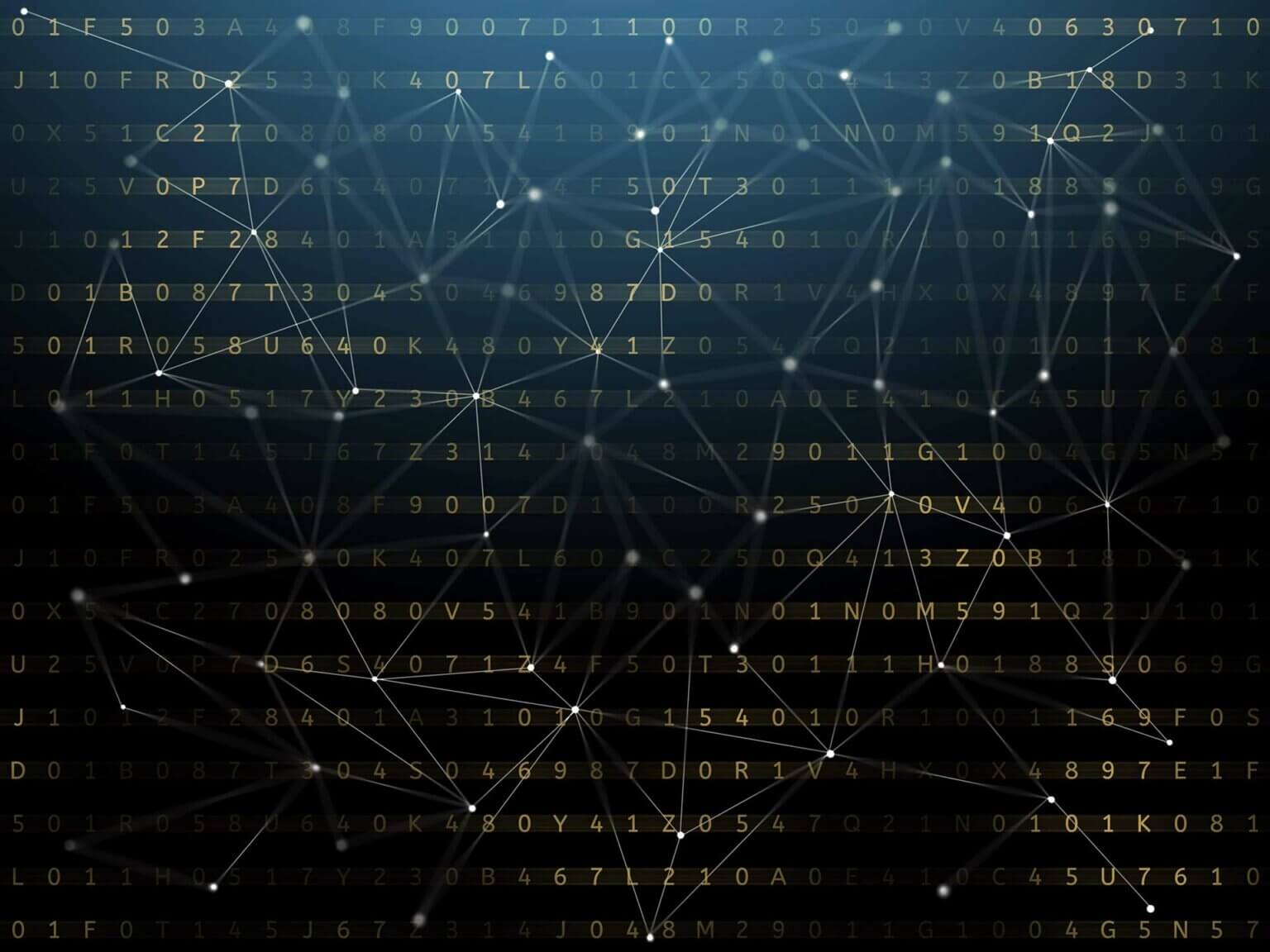 Encryption Solutions – Binary Armor®